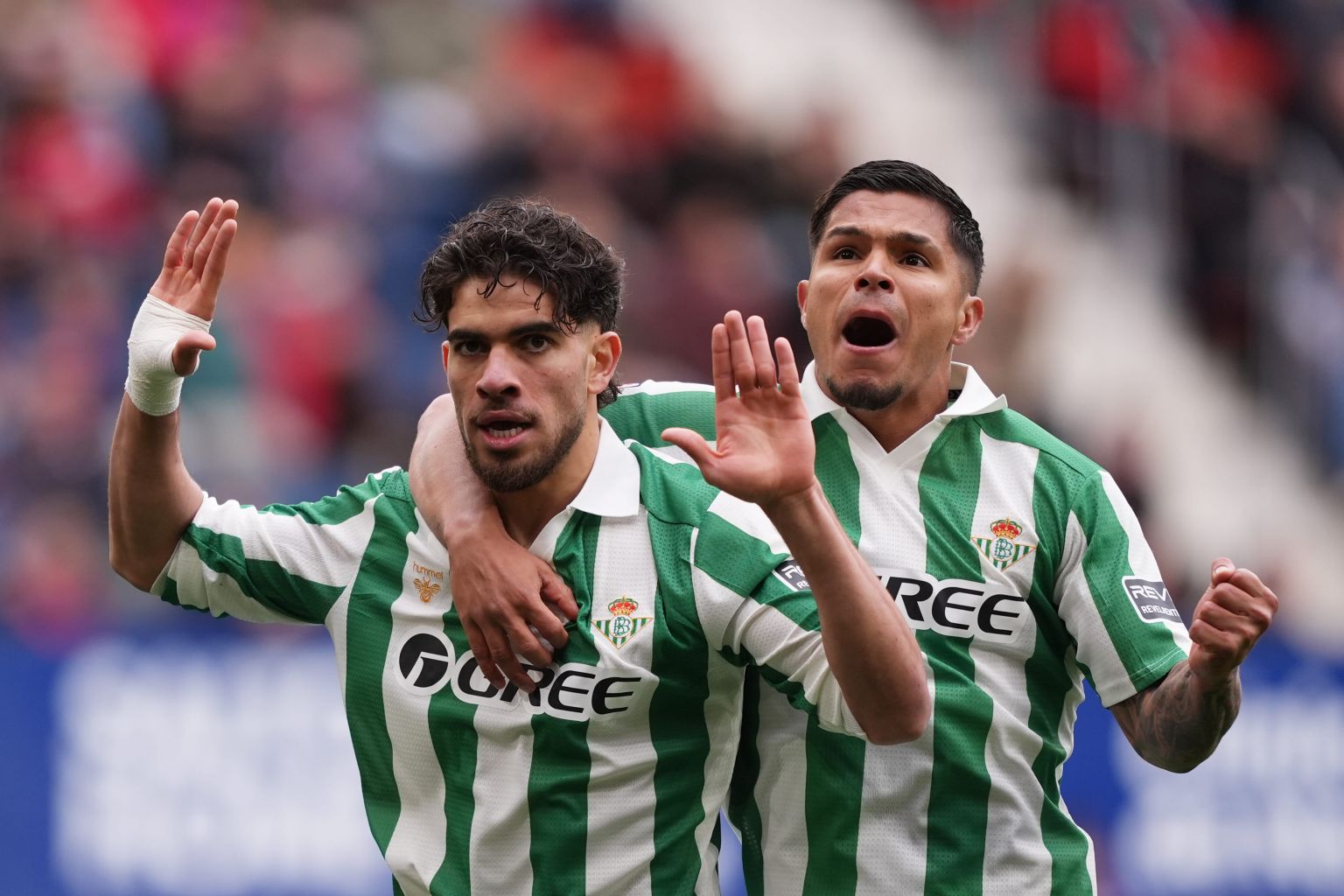 Real Betis news, fitness updates and transfers- Football Espana